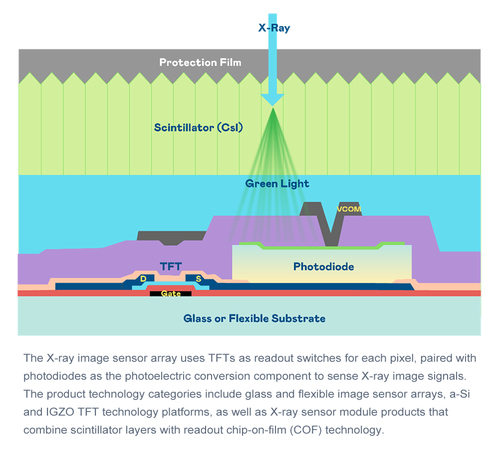 TFT X-Ray Sensing Technology | AUO Display Plus