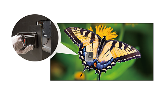 Digital Signage | AUO Display Plus